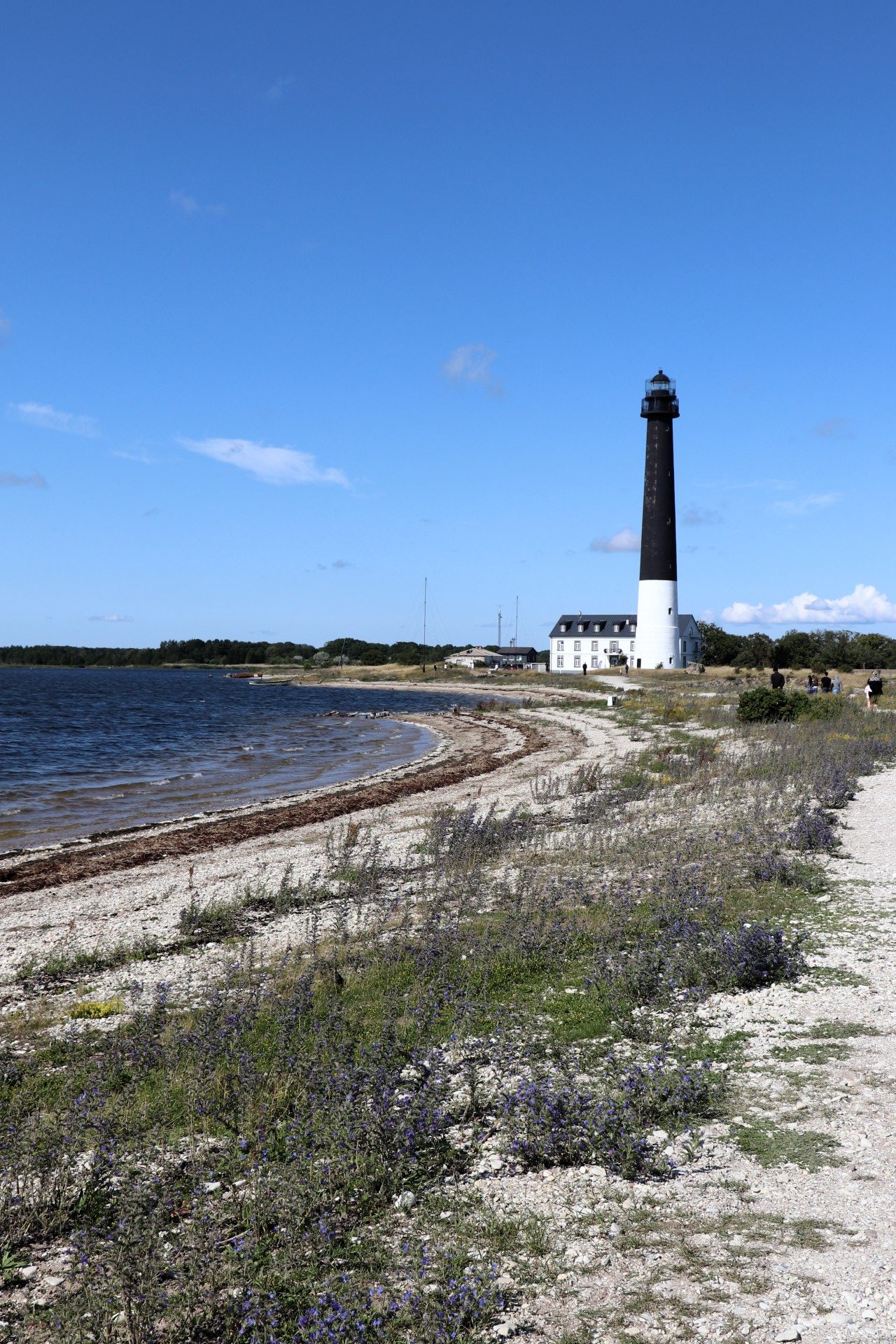 Saaremaa: Urlaub mit viel Natur, Badespaß und Kultur - Lavendelblog