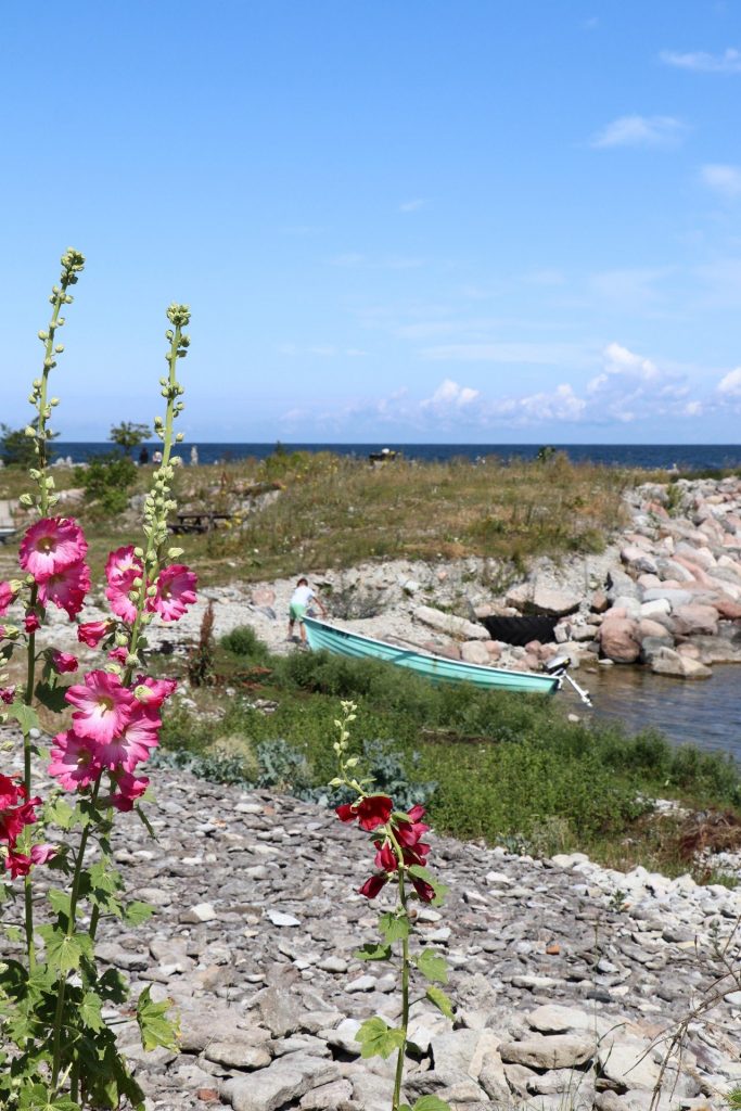 Saaremaa: Urlaub mit viel Natur, Badespaß und Kultur - Lavendelblog