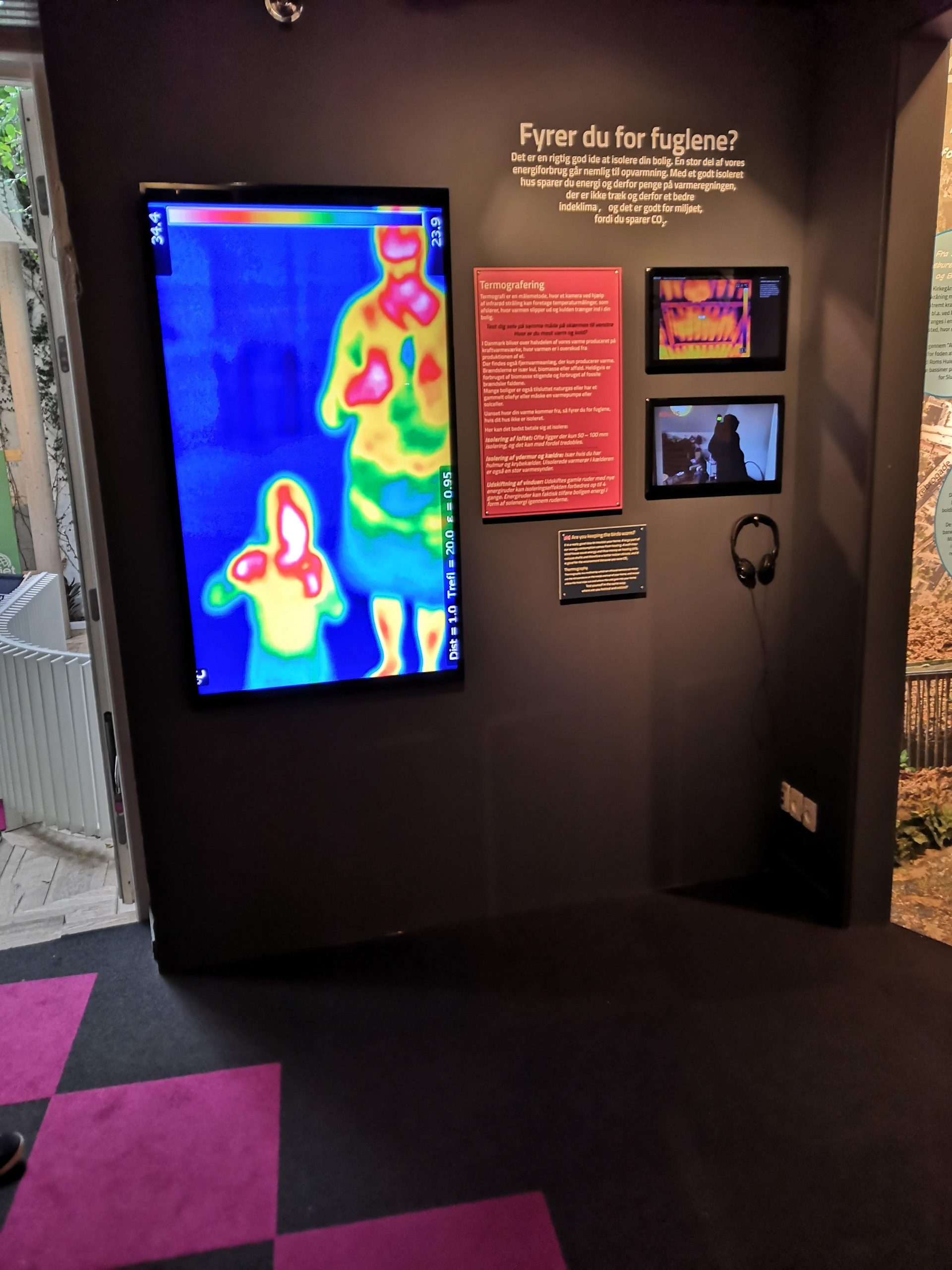 Vejle in Dänemark: Urlaub mit Wikingern, Natur, Wissenschaft und Lego ...